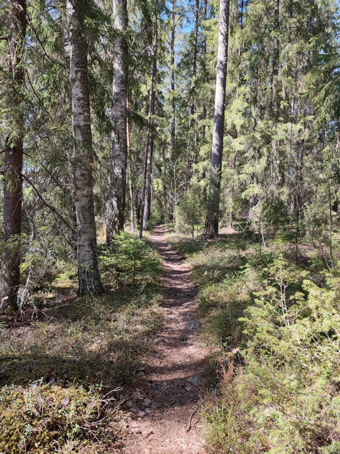 Luontoliikkujalle - VisitHeinavesi